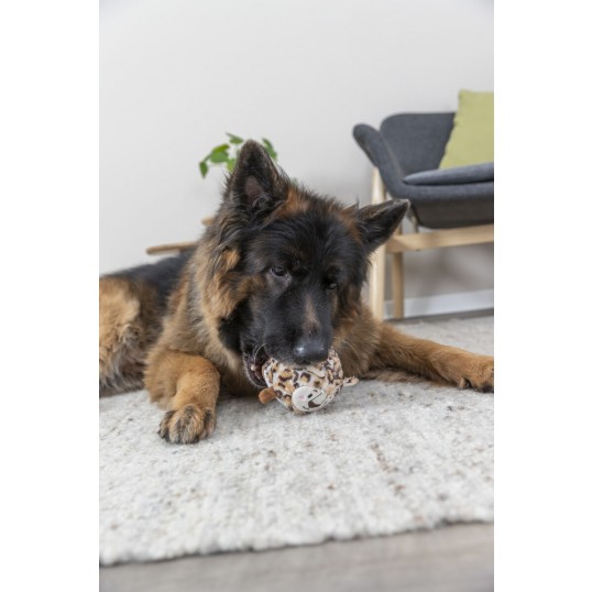 Leopard bold m. piv.